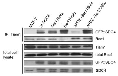 核酸、蛋白互作研究-金开瑞生物
